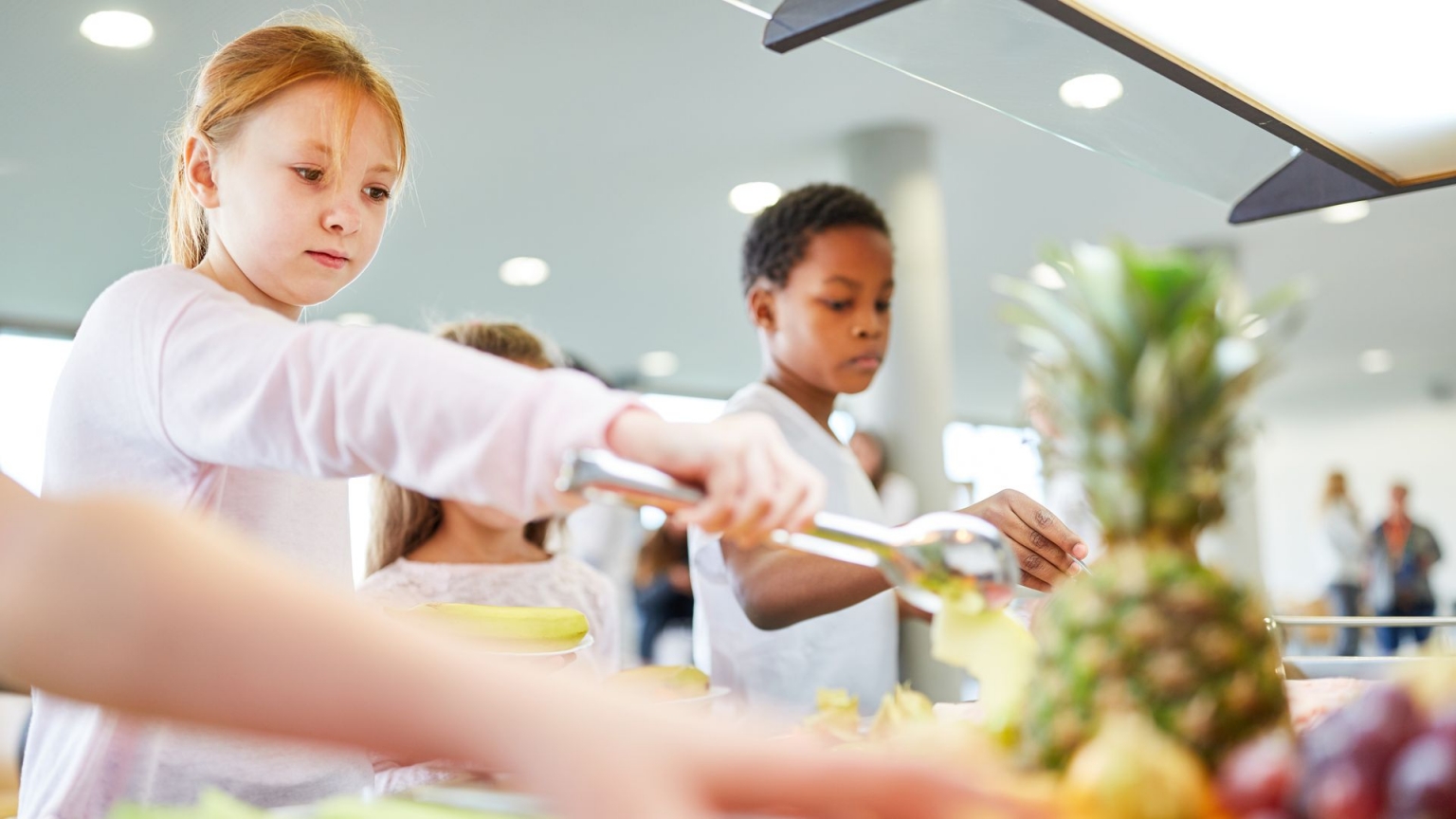 RWS School - RWS Gruppe
